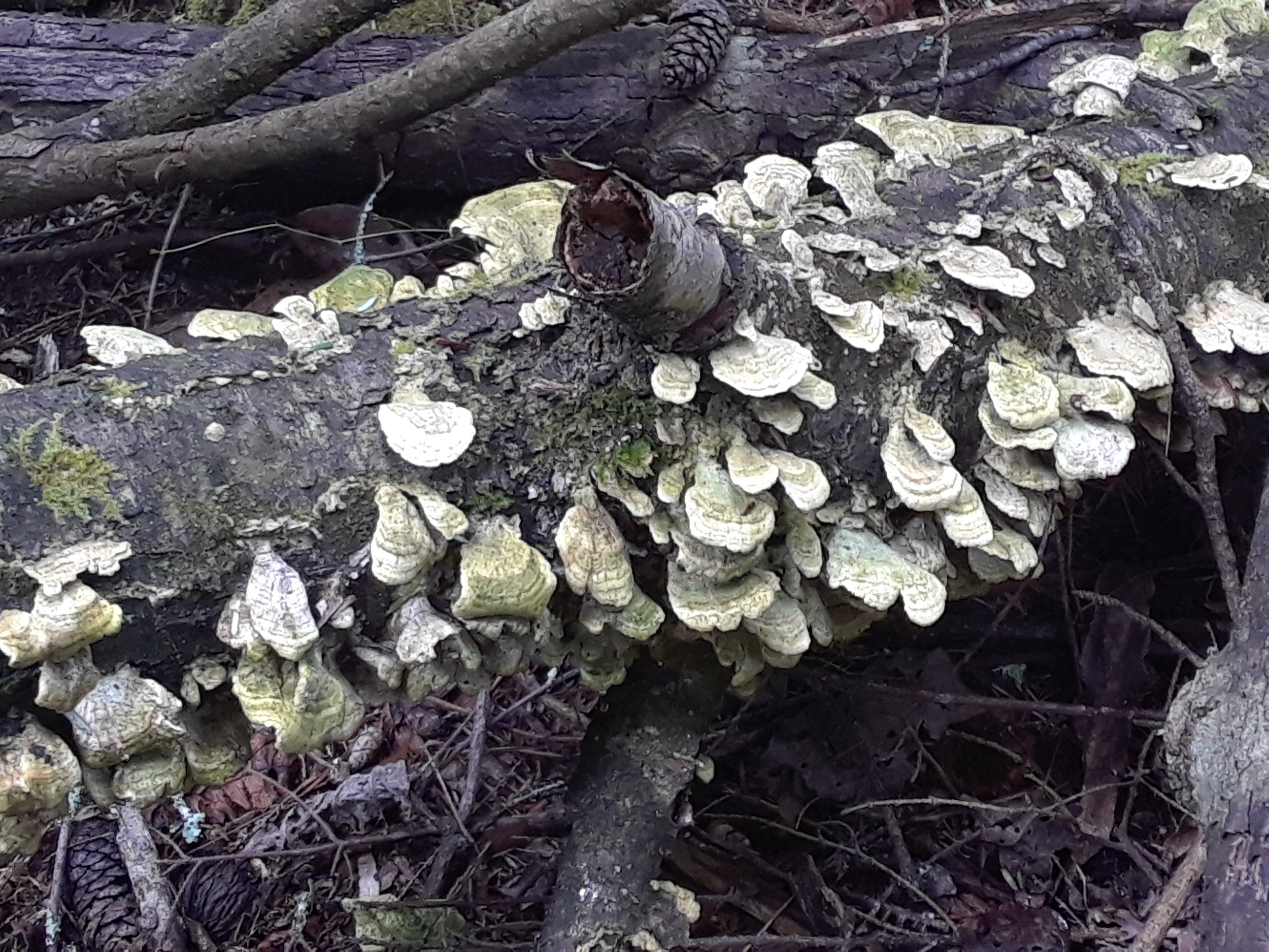 Reservations – Banah Inn